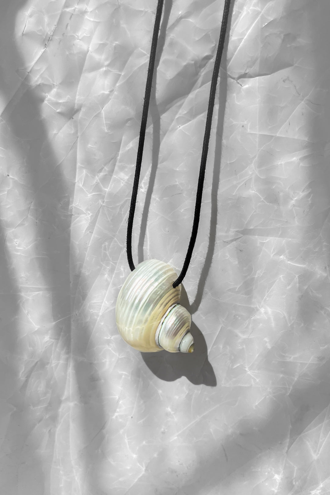 Turbo Shell Necklace – Crushes